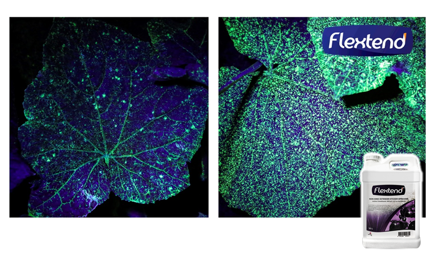 FLEXTEND®- The spraying adjuvant delivering flexibility - AGSPEC ...